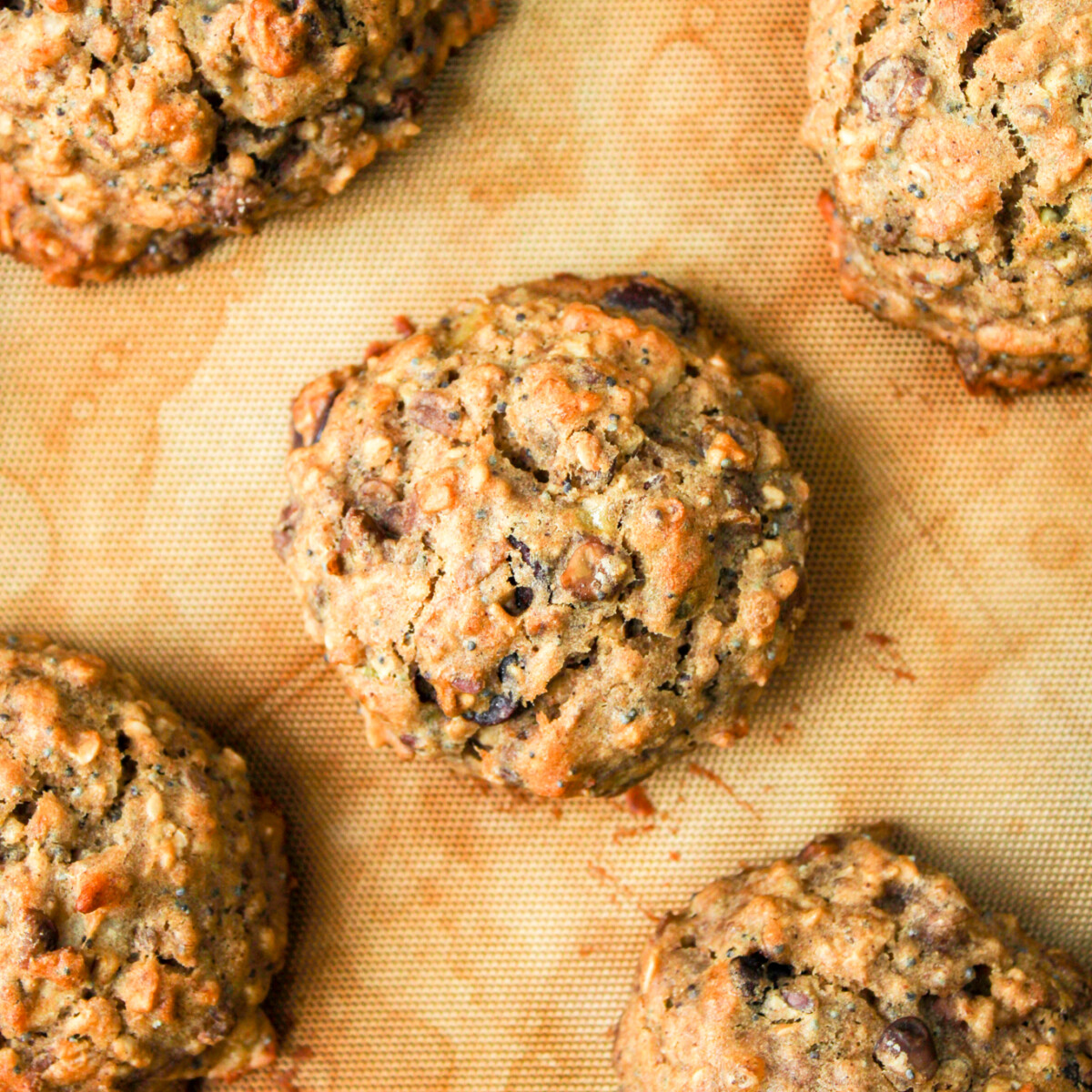 Chocolate Chip Power Cookies | All Nutrition